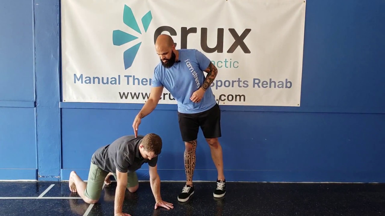 Push-Up Plus Bear Position - YouTube