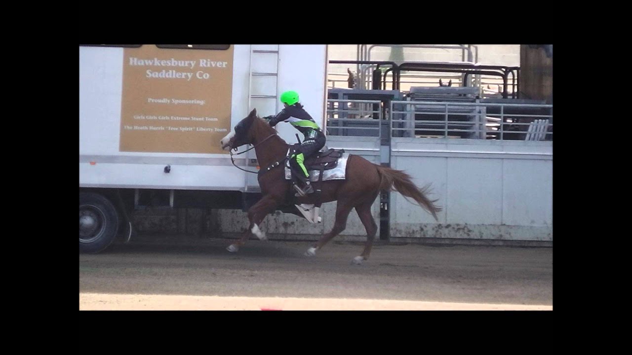 Sydney Royal Easter Show 2014 Girls Girls Girls Extreme Trick Riding ...