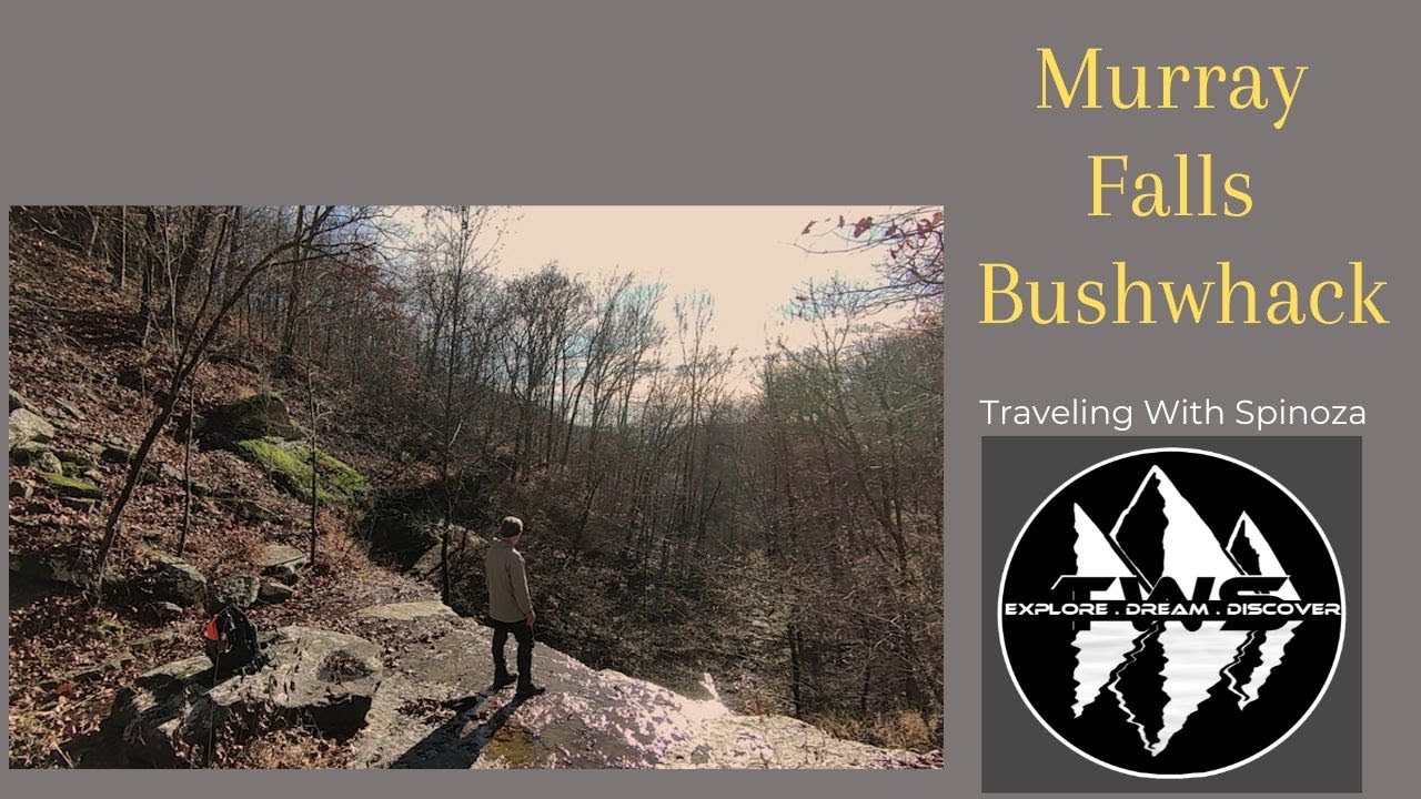 Mountain Fork Creek Bushwhack - YouTube