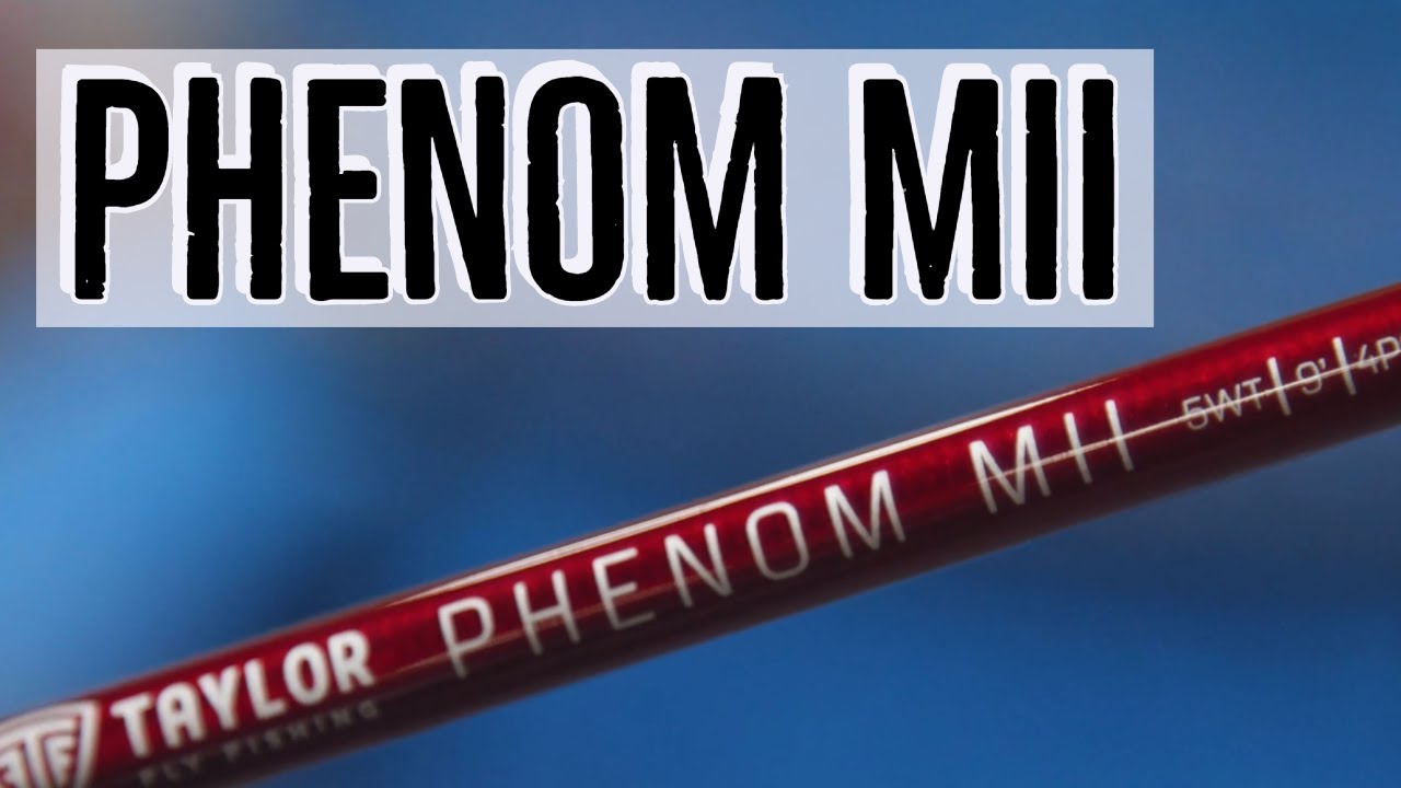 Taylor Phenom MII Fly Rod | Insider Review - YouTube