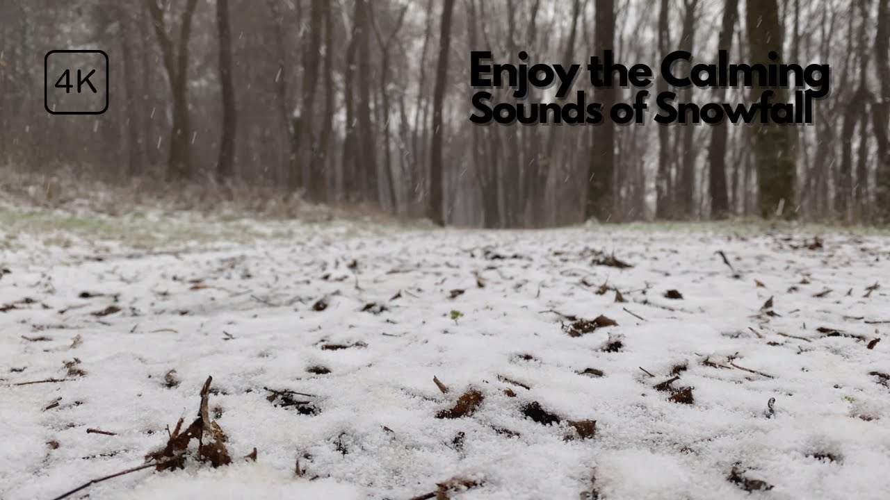 Experience a Relaxing Snowfall With Sounds of Snow | Relax | Sleep ...