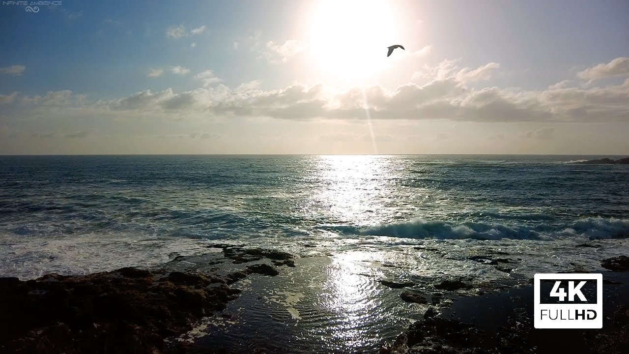 Relax At A Beautiful Beach For The Day!: Calming Ocean Waves - 4k ASMR ...