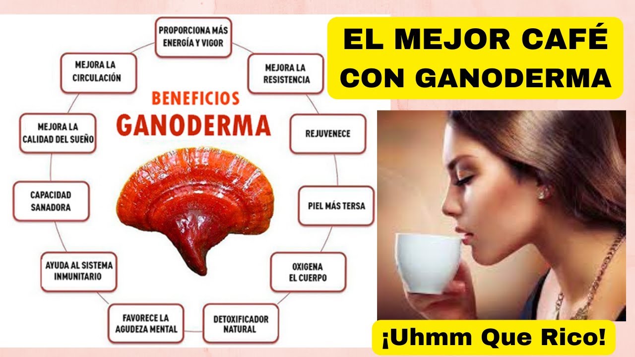 BENEFICIOS DEL GANODERMA - EL MEJOR NEGOCIO A PRUEBA DE PANDEMIA - CAFE CON GANODERMA - ZARPE ...