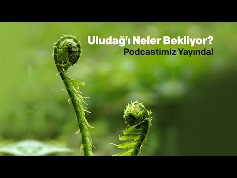 Uludağ’ı Neler Bekliyor?