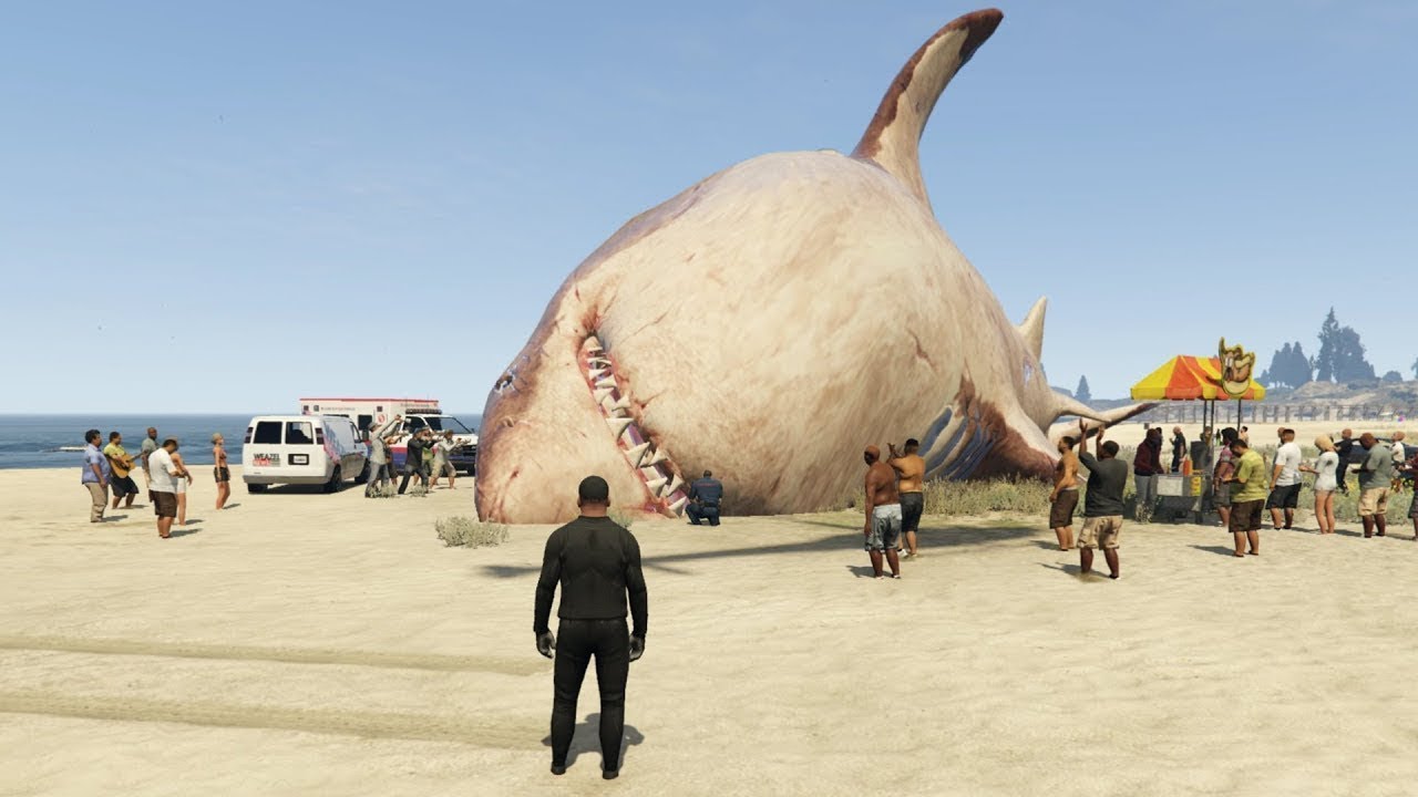 Megalodon के जिंदा होने की 10 ठोस वजह | 10 Reasons the Megalodon Shark ...