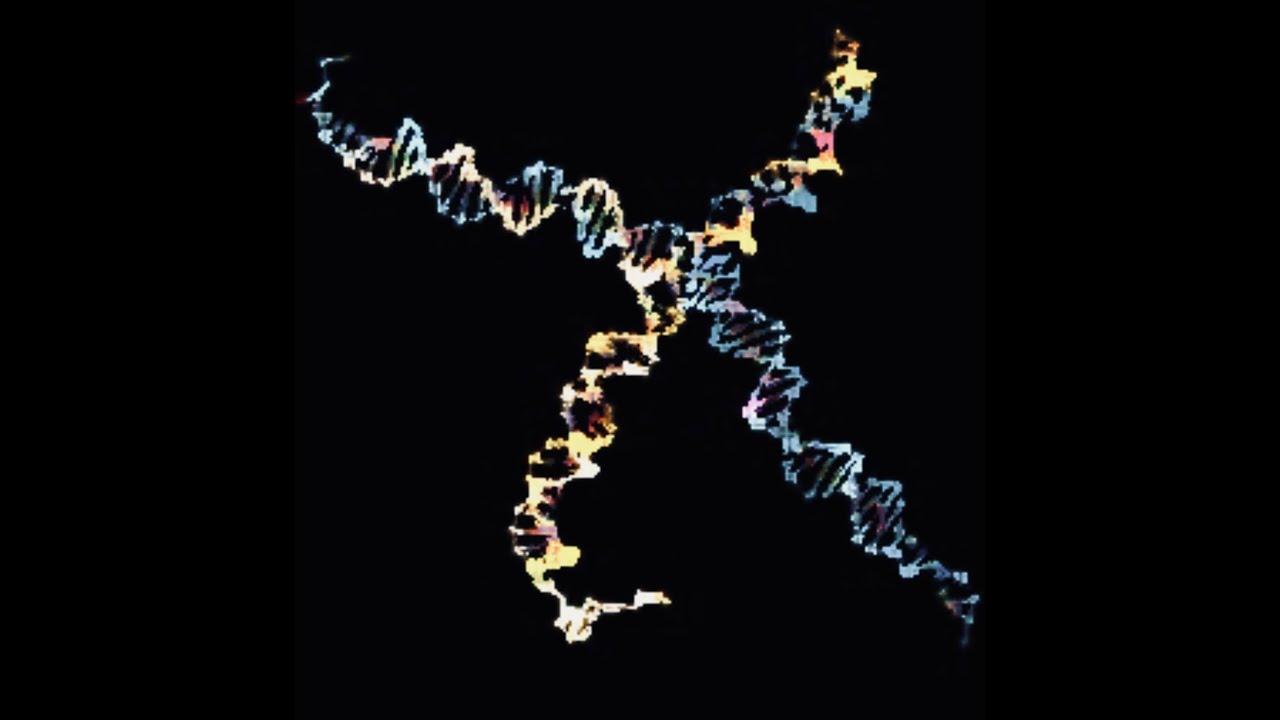 Simulating DNA nanostars using oxDNA and oxView: tutorial - YouTube