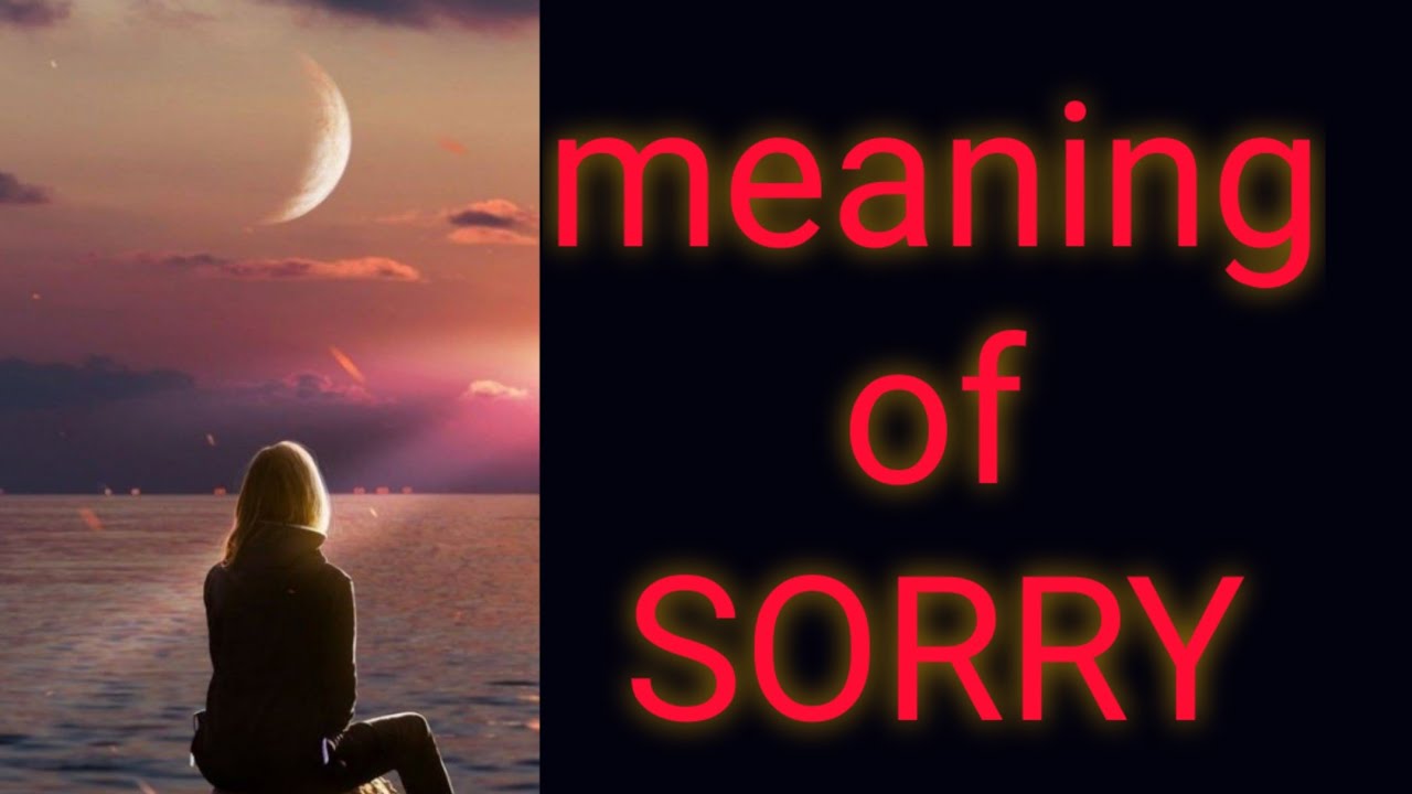 meaning of sorry|| definition of sorry - YouTube