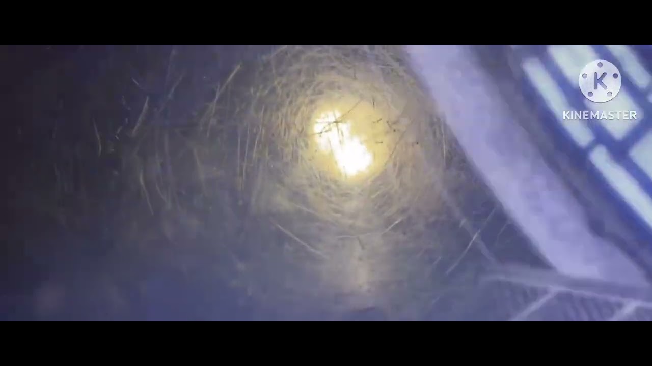 Cars 2 (2011) (alternative ending 2024) complete - YouTube