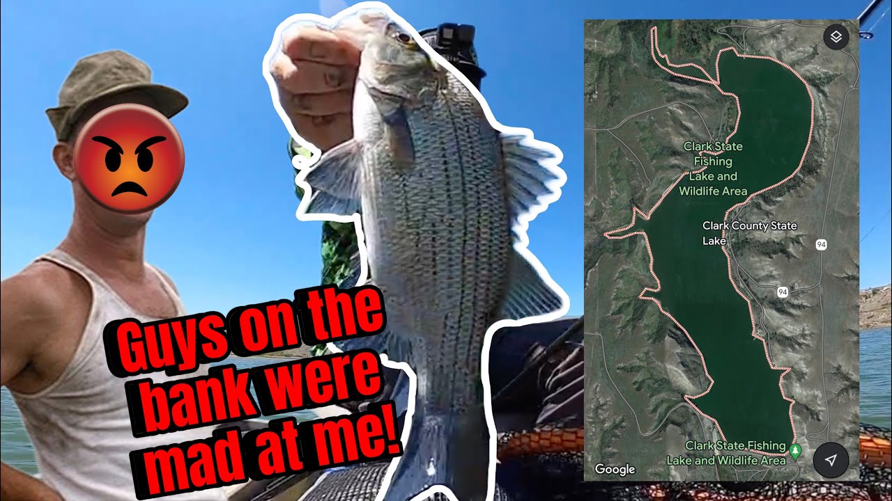 Clark County Lake White Bass Haul + A Few Surprises! - YouTube