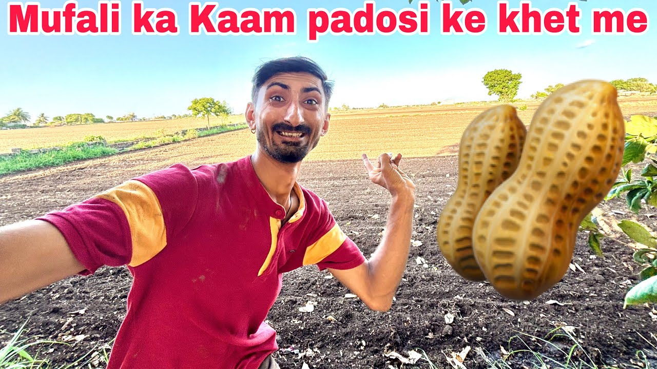 Mufali ka kaam padosi ke khet me chalu 😊 | Gujju Gotiklo | Vlogs - YouTube