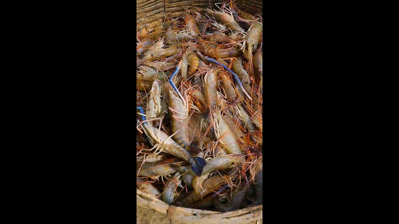 Pawn Fish #shorts - YouTube