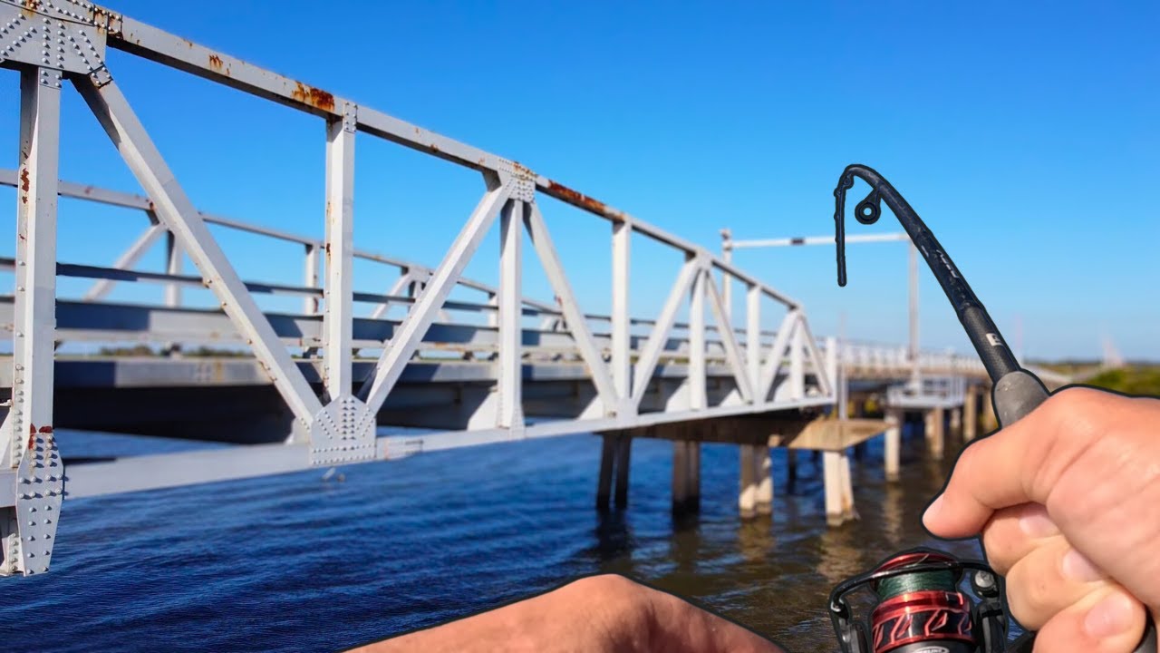 Louisiana BRIDGE fishing for whatever bites | Multi-Species Half-Day ...