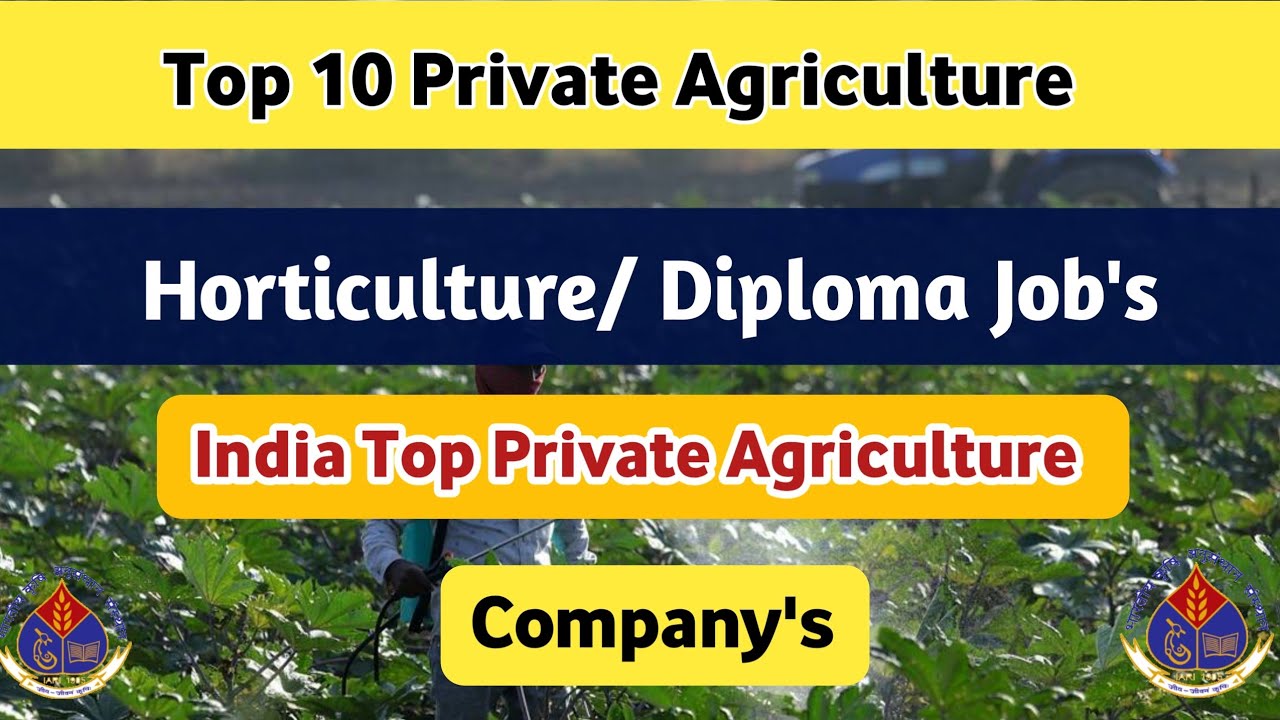 Top 10 Private Jobs After Bsc Agriculture Horticulture Diploma 