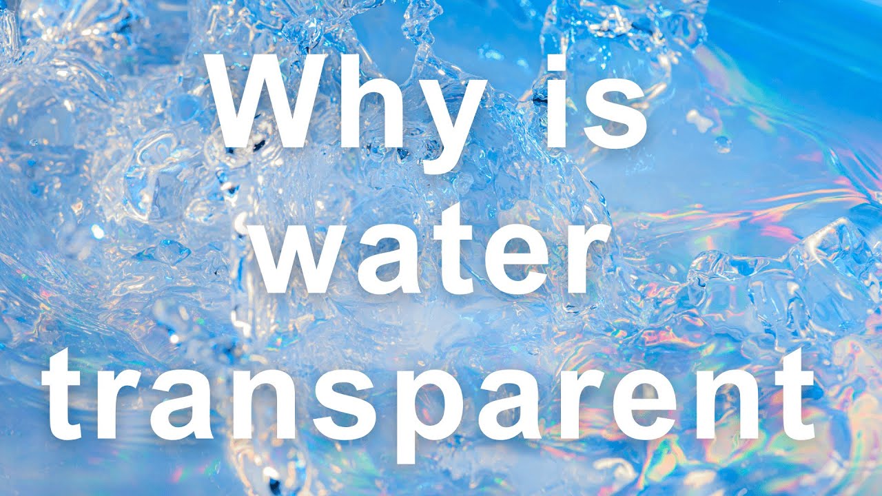 【SmartyPants】EP3 - Why is water transparent? | Educational Videos For ...
