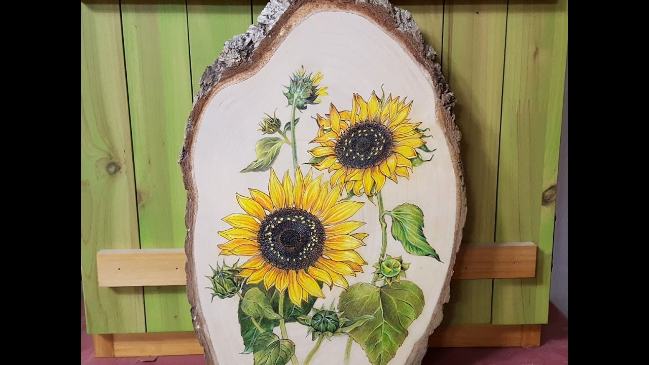 해바라기 우드버닝 색연필화 Sunflower in Pyrography, coloured pencil and pen - 예빌 ...