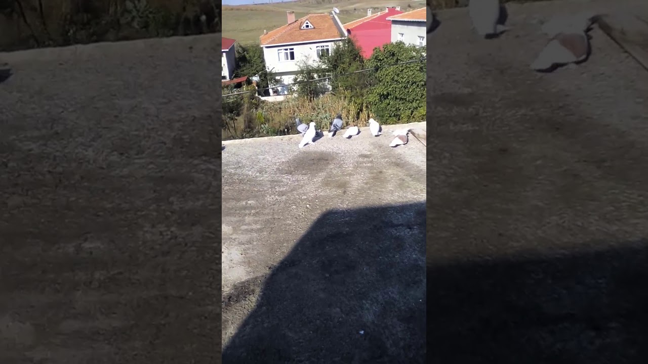 Dayamak // Sex // Por..no // Yarrak // Sik// Am // Sik kafali // - YouTube