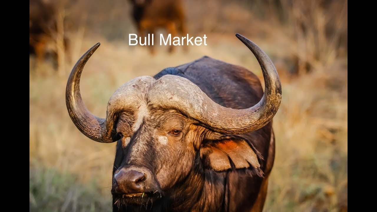 What Is Bull Market Hindi YouTube what-is-bull-market-hindi-youtube