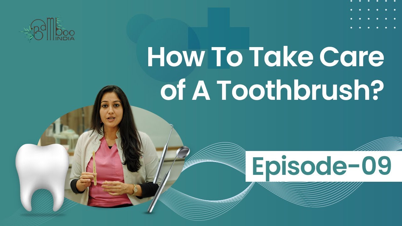Ep - 9 How to take care of your Toothbrush? - YouTube