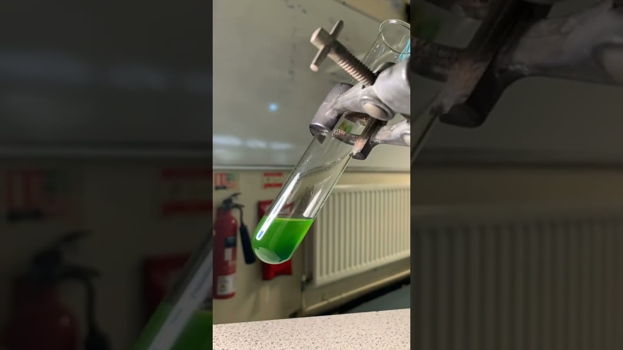 Hill Reaction Core Practical- DCpip and leaf extract with light. - YouTube