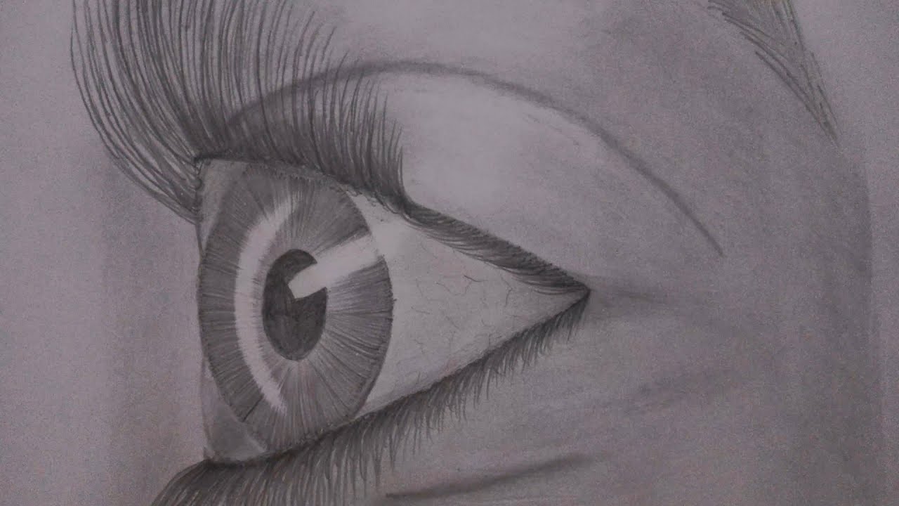 Eye Drawing Profile