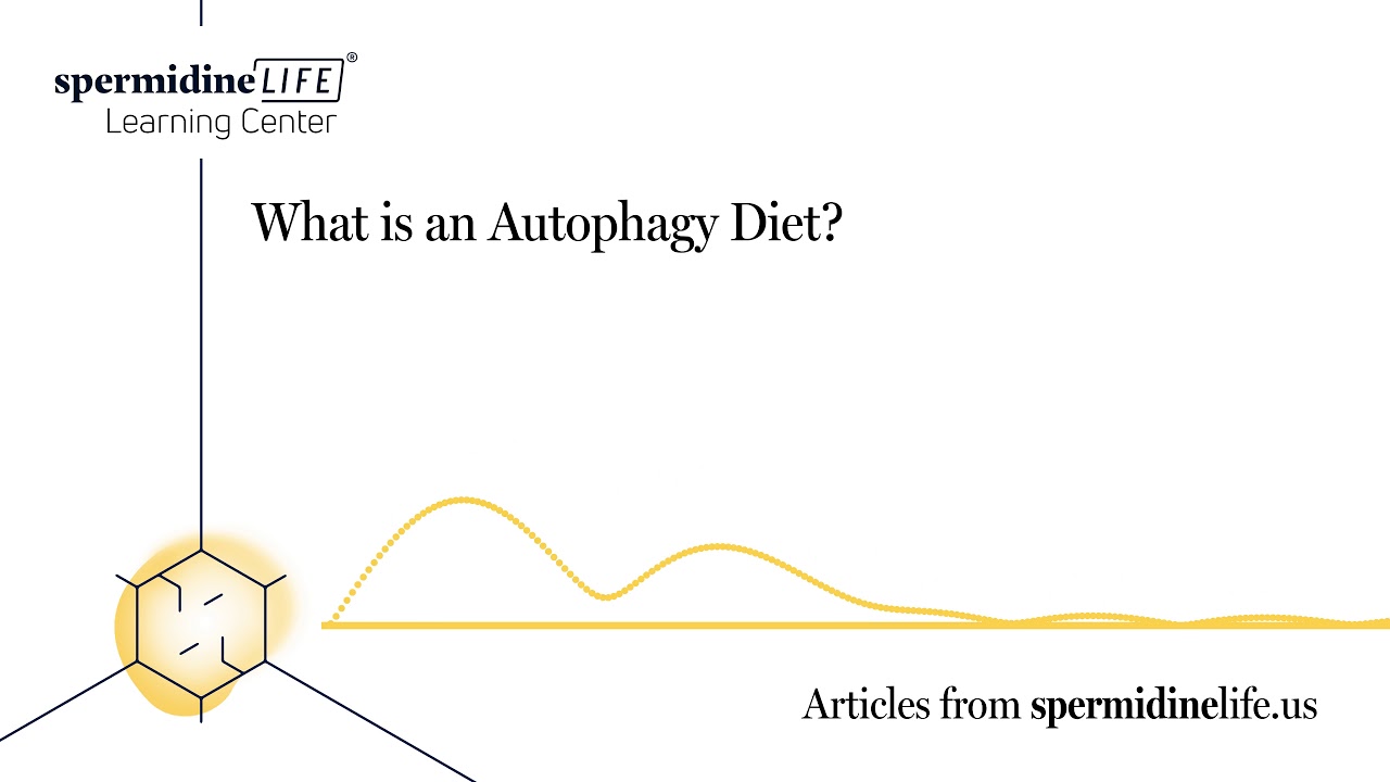 What Is an Autophagy Diet? | Autophagy Benefits | Autophagy Diet ...