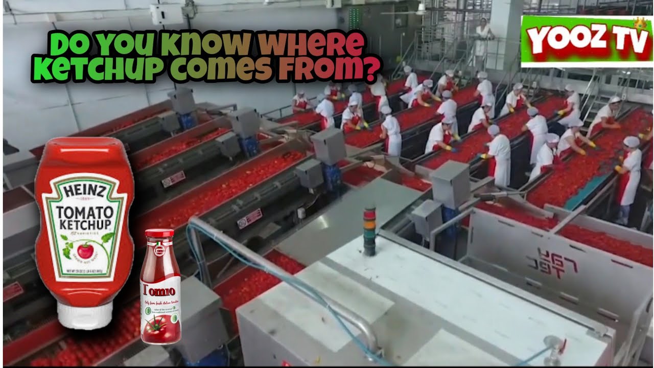 How Tomato Ketchup Is Made | - YouTube