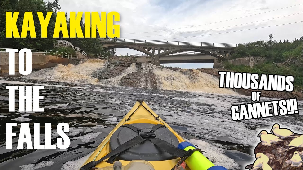 Colinet Bay to Rocky River Falls: A Scenic Paddle Adventure - YouTube