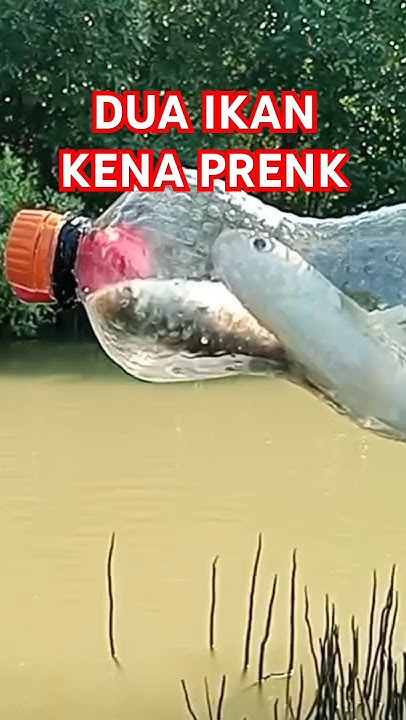 mancing ikan belanak pakai botol bekas, fanta size 1 liter - YouTube