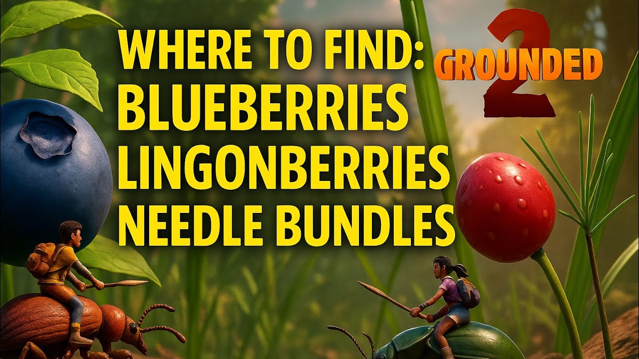 Where to get Blueberry, Lingonberry, and Needle Bundles in Grounded 2! - YouTube
