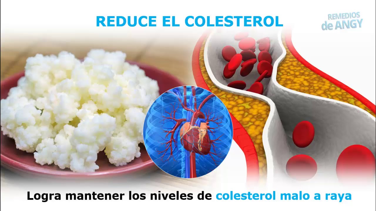 Beneficios De Los Bulgaros - YouTube