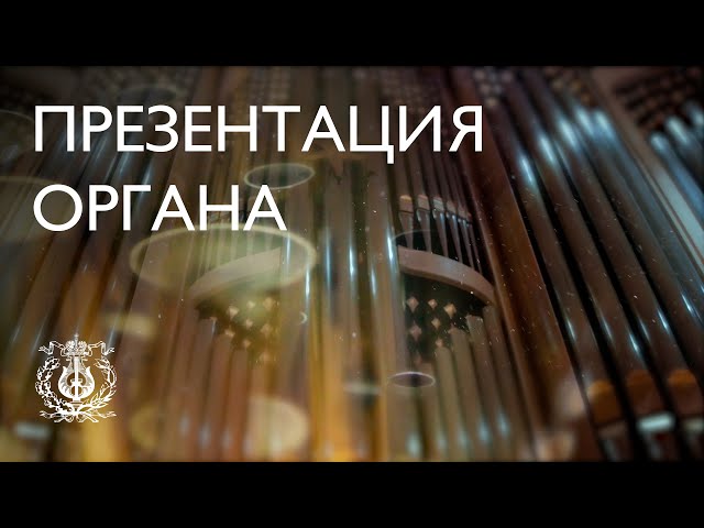 Презентация орган | Obrezka.com