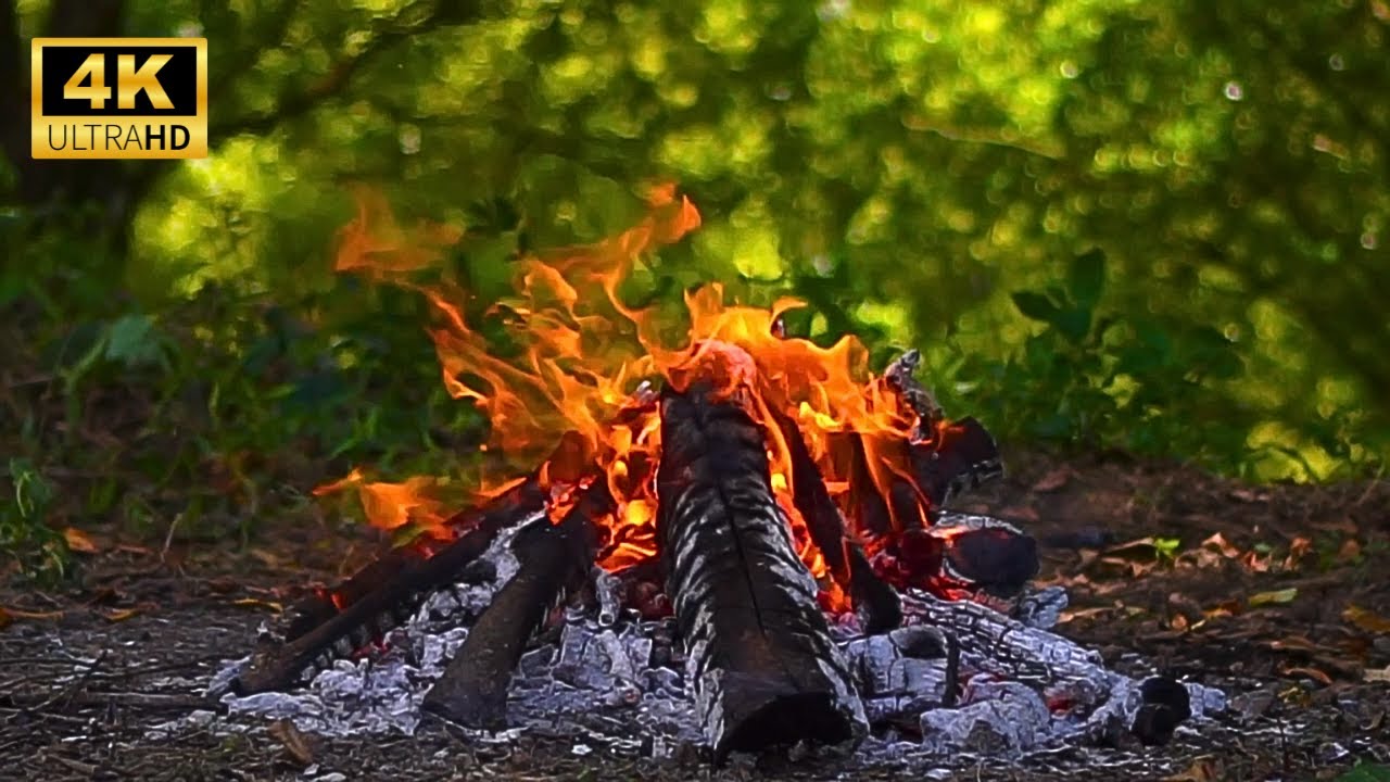 🔥 Cozy Forest Campfire 4K ULTRA HD! - Natural Ambiance, Crackling Fire ...