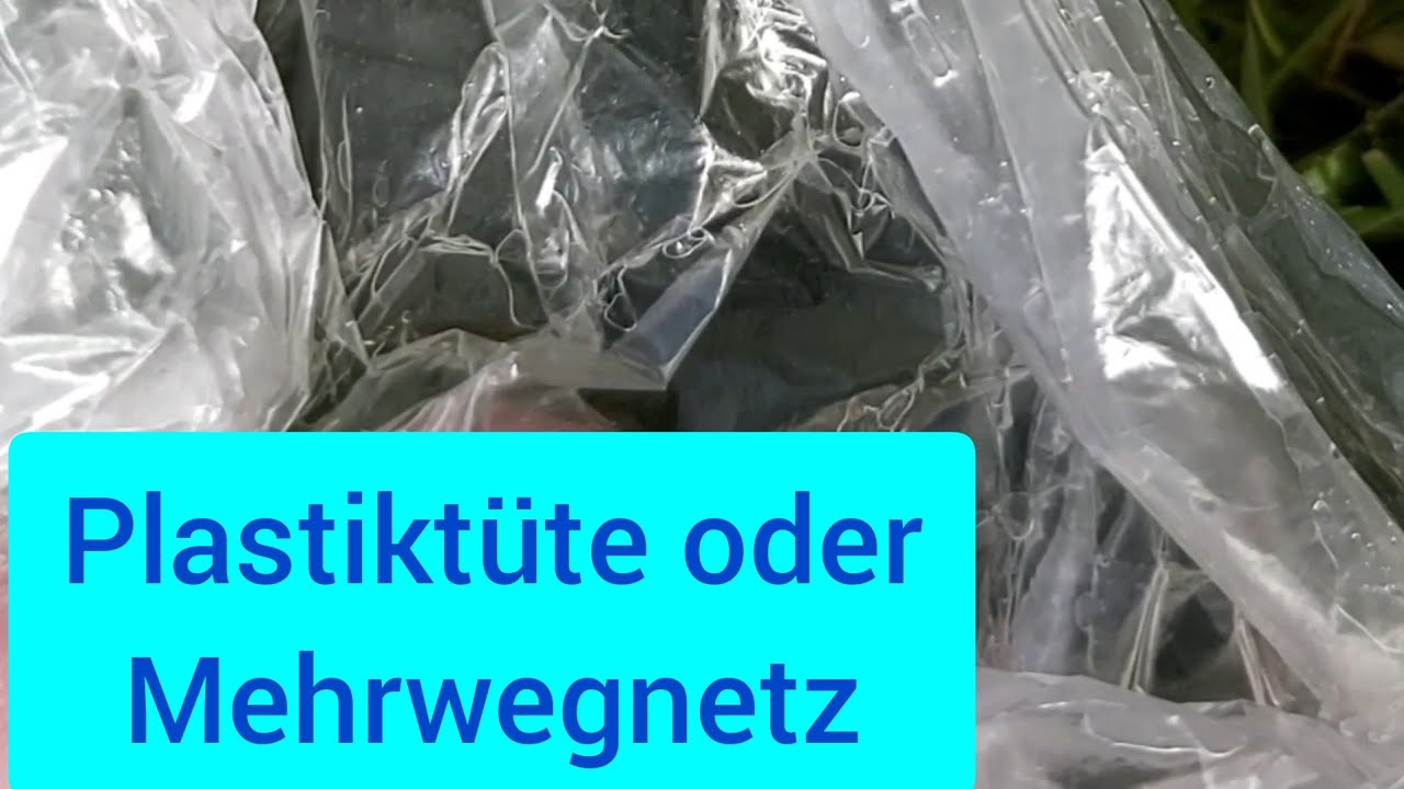 Teil 2 Was ist besser für die Umwelt? Plastiktüte Mehrwegnetz lose Obst ...