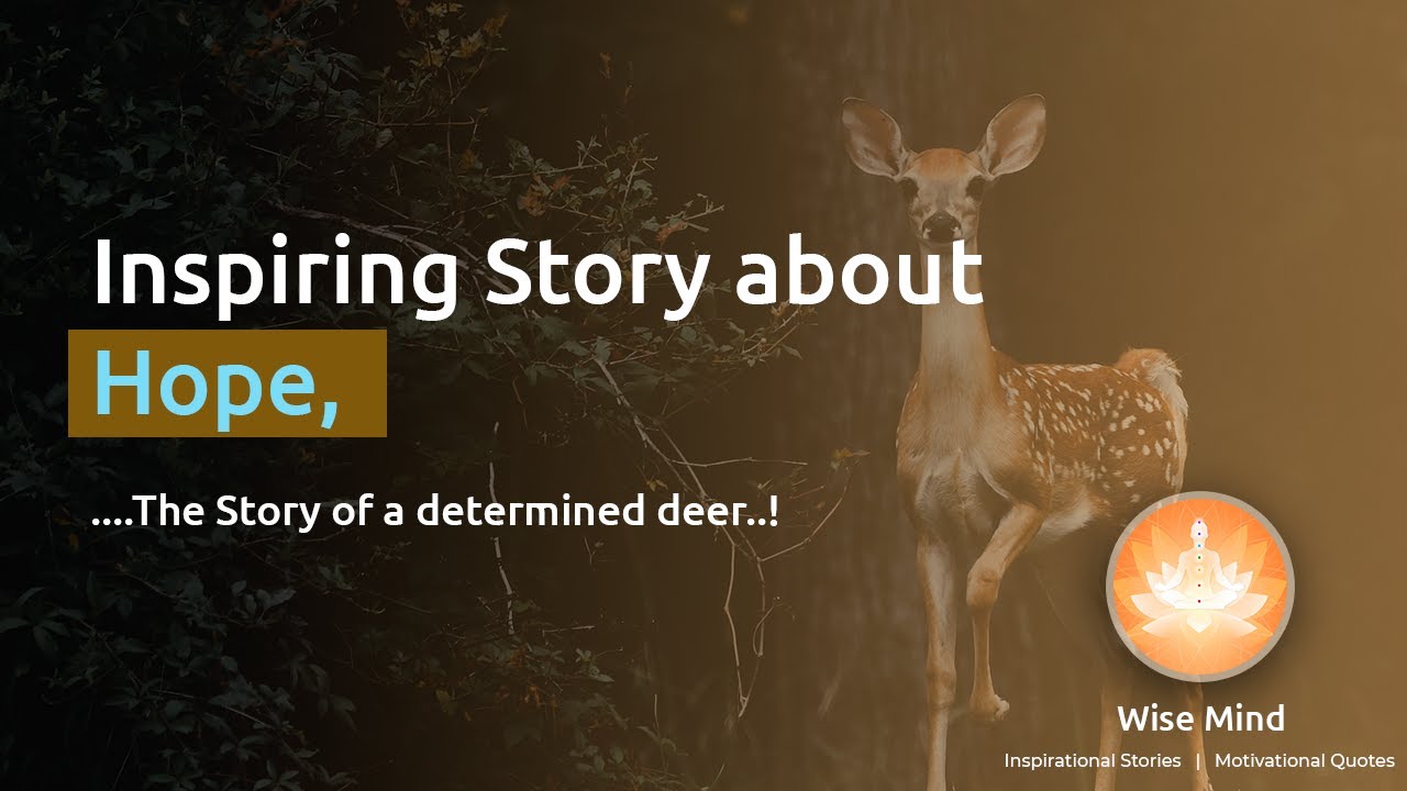 You will never lose hope | Motivation story of a deer #hope | # ...