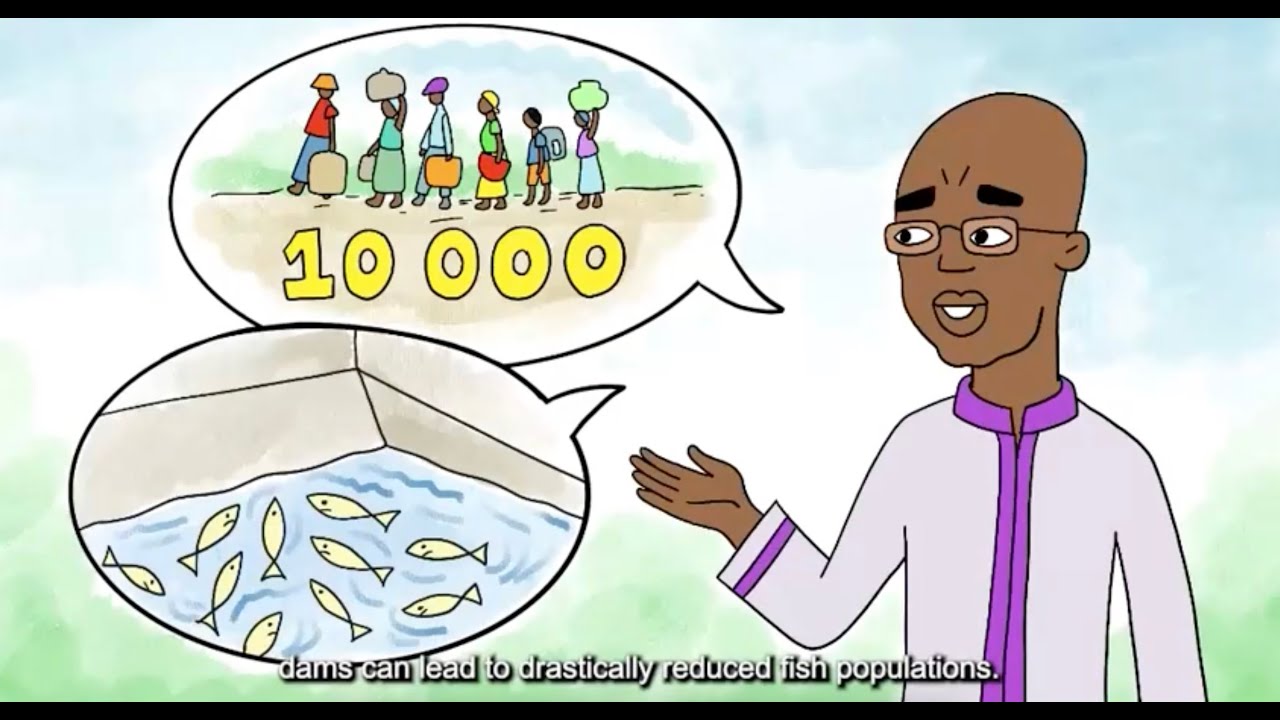 Congo River Animation Series - Video 3: The impacts of hydropower dams ...