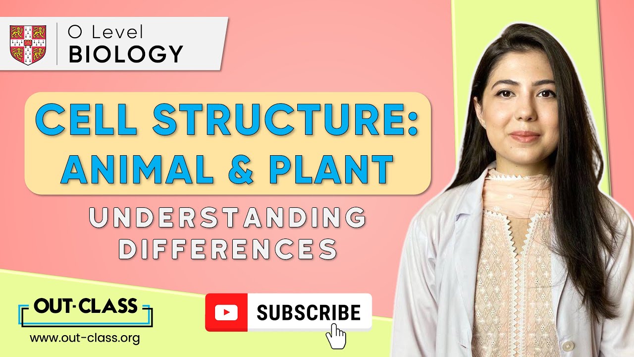 OUT-CLASS | O Level Biology | Structure of an Animal & Plant Cell - YouTube