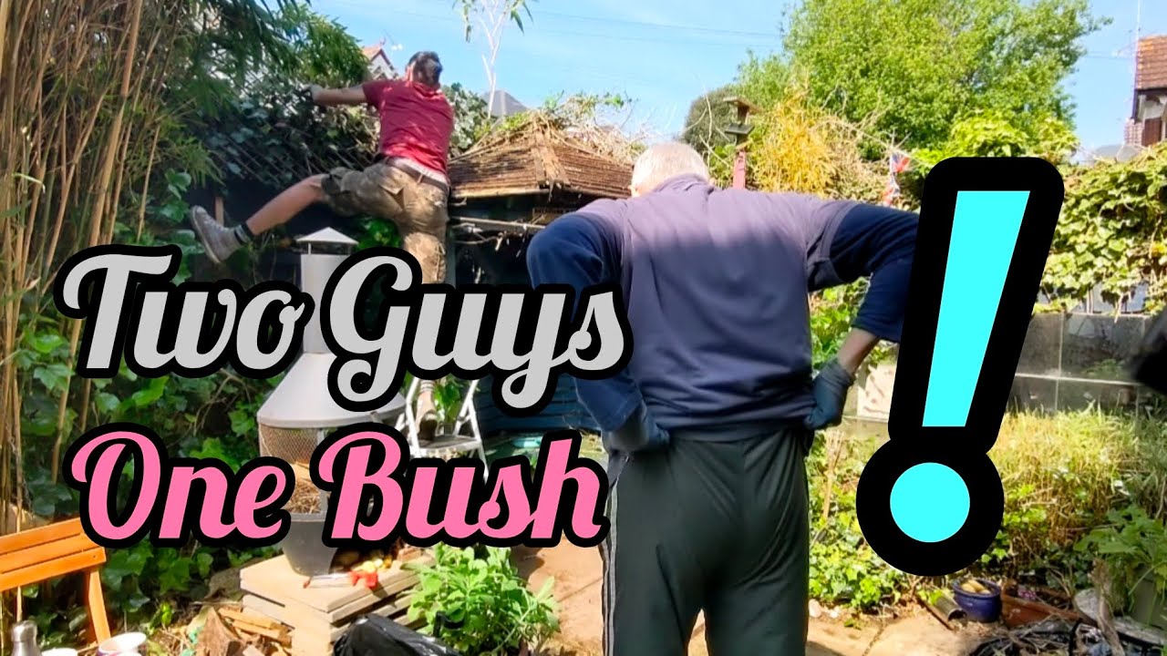 Two Guys One Bush - YouTube