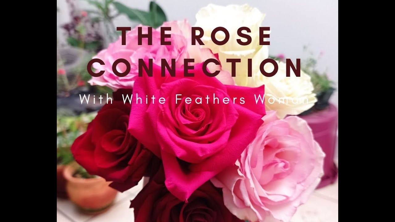 The Rose Connection with White Feathers Woman - YouTube