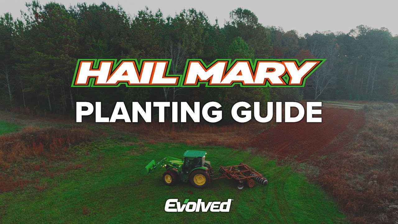 Evolved Planting Guide | Hail Mary Food Plot Seed - YouTube