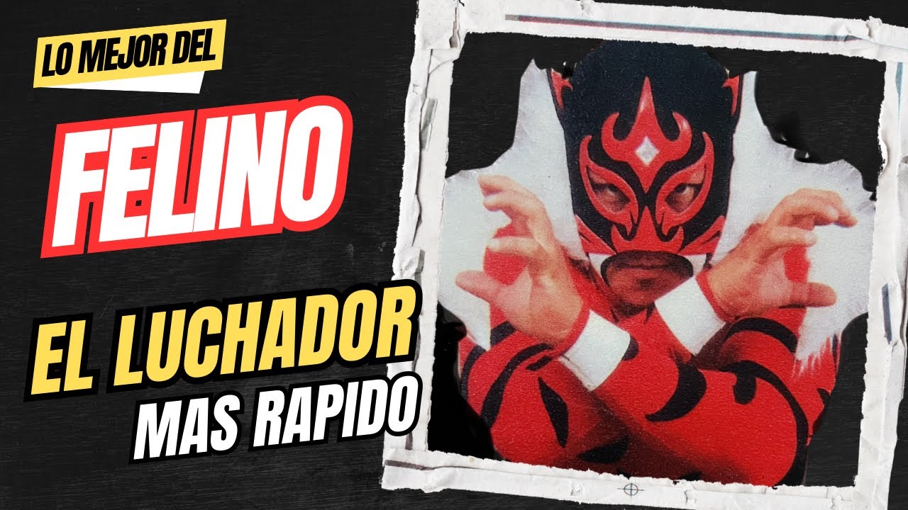 Lo Mejor del FELINO | Lucha Libre CMLL フェリーノ【ルチャリブレ】 - YouTube