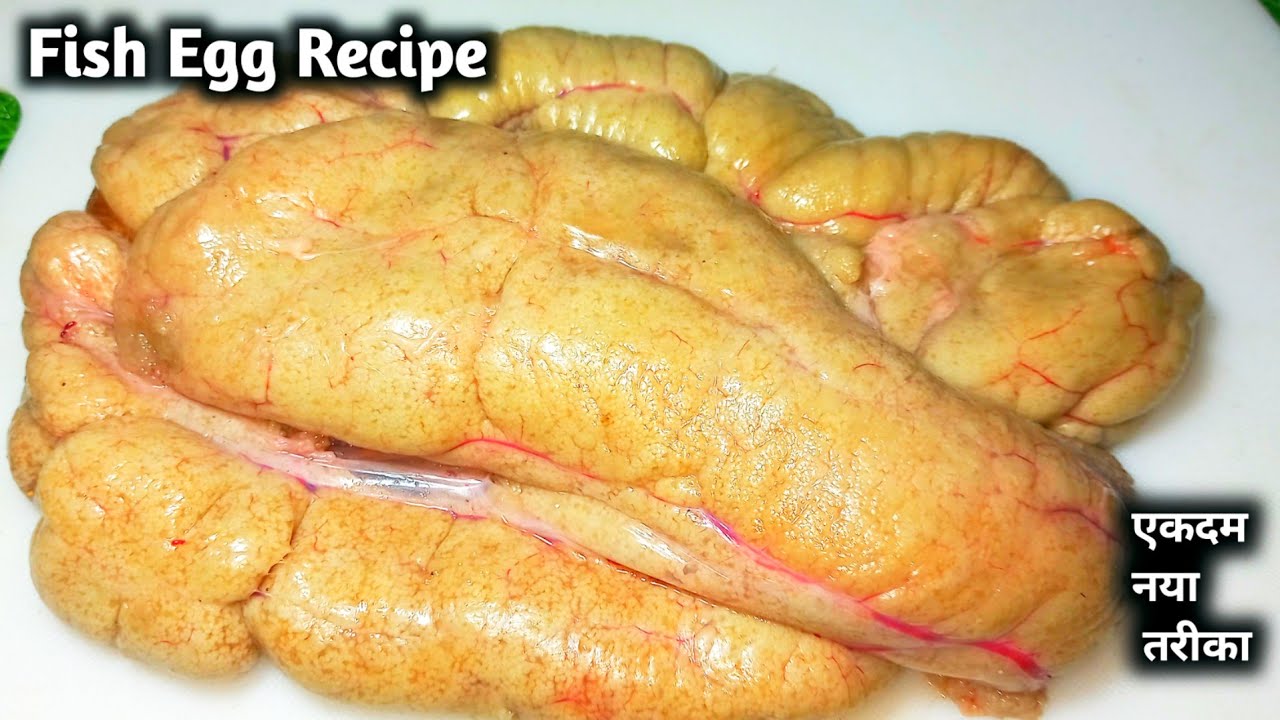 मछली का अंडा बनाने का यह नया तरीका / आप कहेंगे पहले क्यों नहीं पता था ...