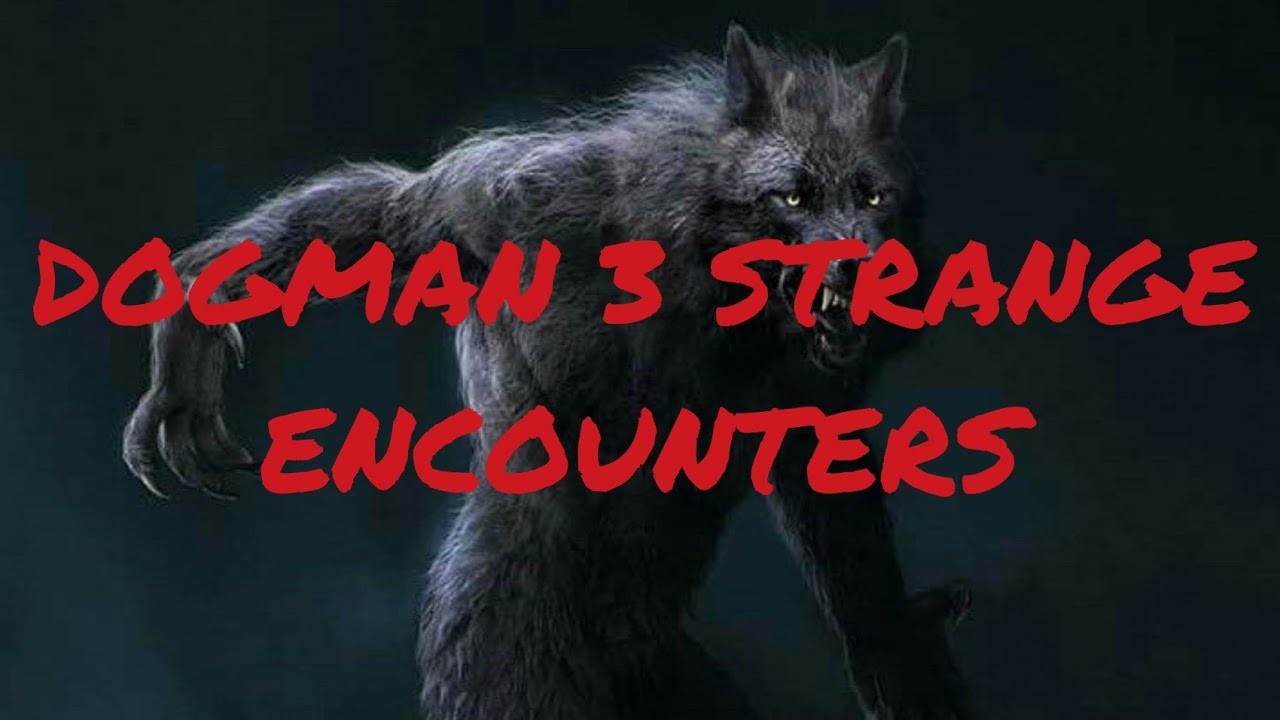 DOGMAN 3 STRANGE ENCOUNTERS - YouTube