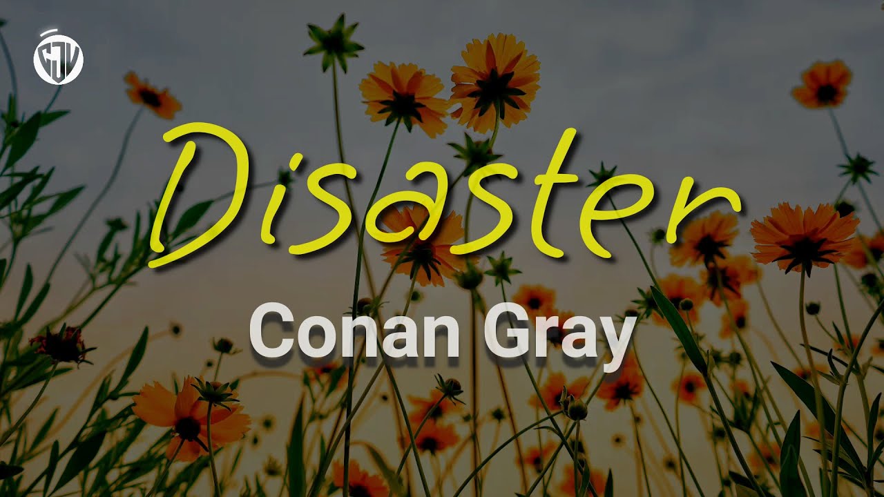 Conan Gray - Disaster (Lyrics) - YouTube