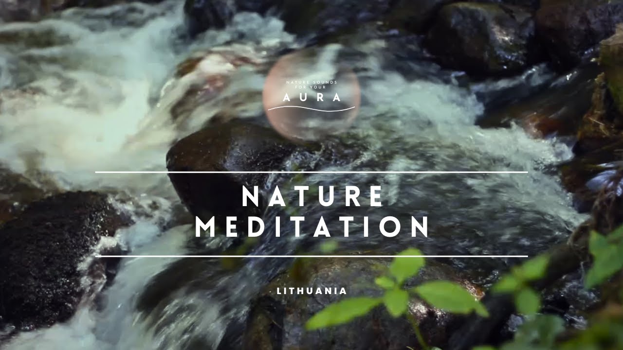 Rhythmic River Flow - Nature Meditation with River Saida - YouTube