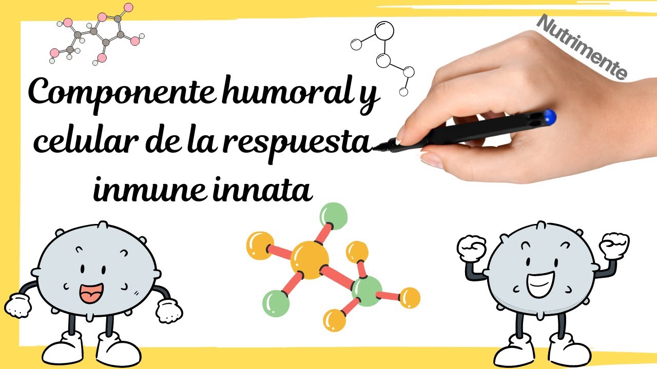 Los componentes HUMORAL y CELULAR de la RESPUESTA INMUNE innata - YouTube