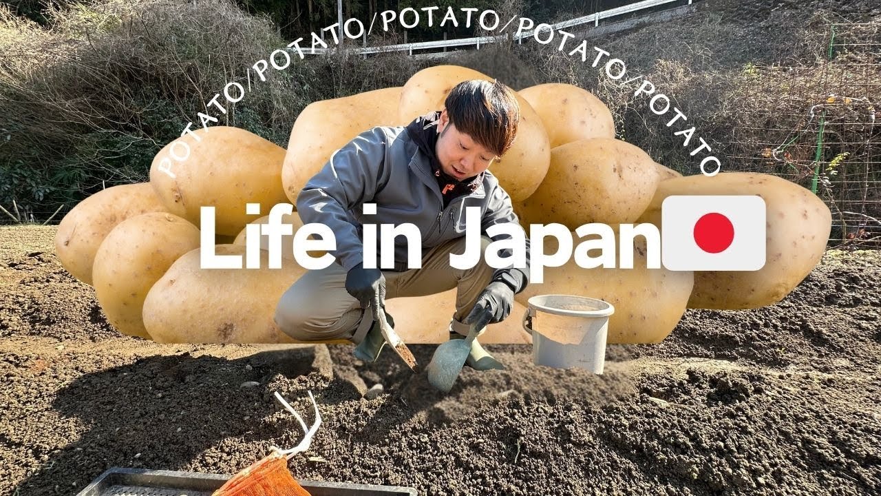 Planting Potatoes in Japan🇯🇵 | Traditional Farming Experience in the ...