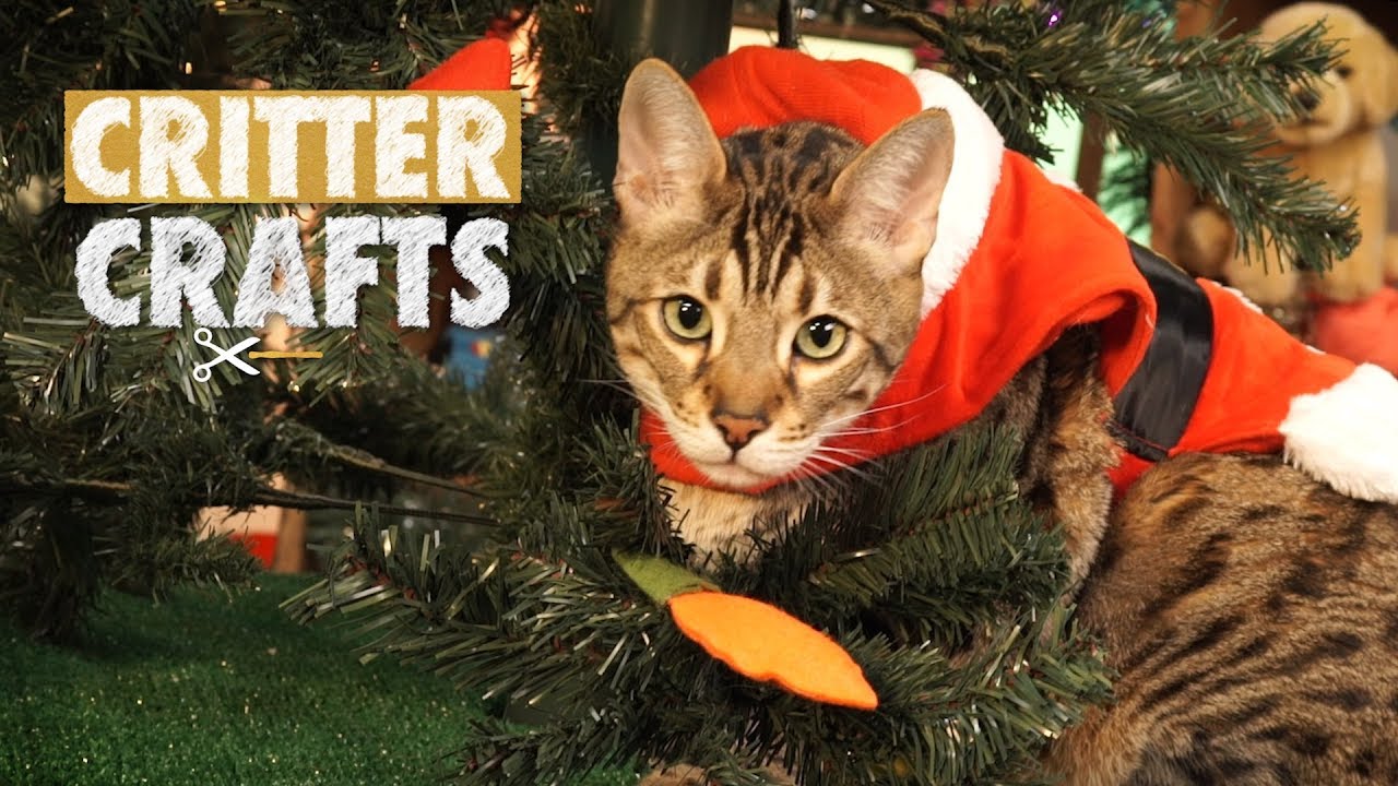 Critter Crafts | Cat-mas Tree - YouTube