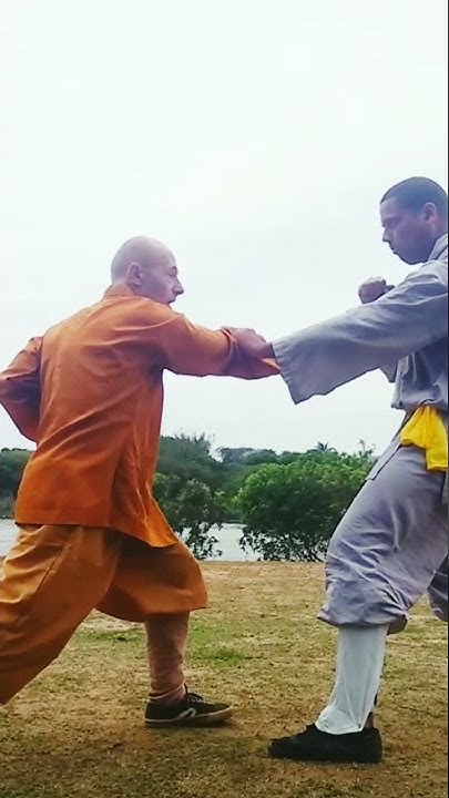 shaolin Kung Fu Wu bu quan applications.#shorts - YouTube