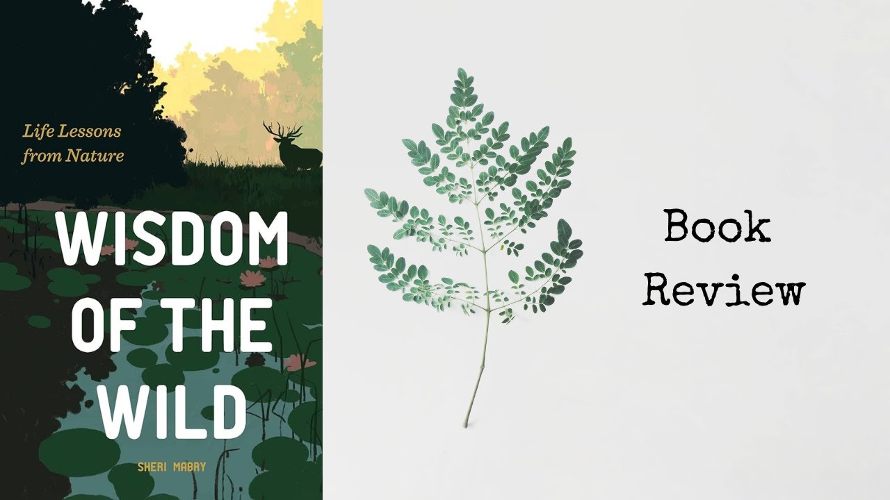 Wisdom of the Wild by Sheri Mabry {book review} - YouTube