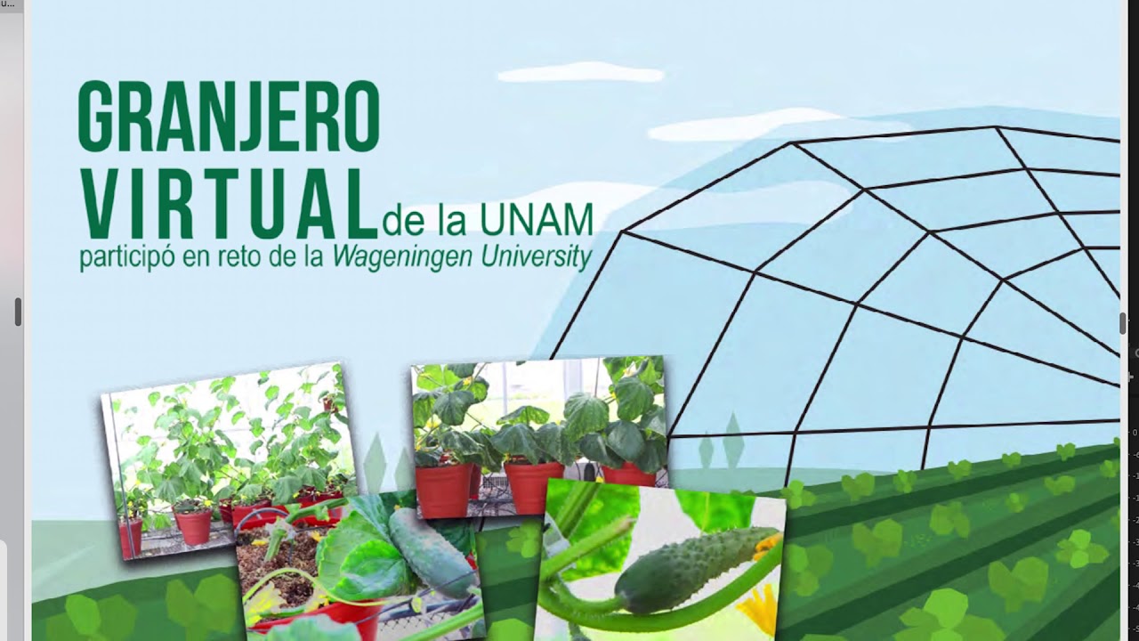 - UNAM Global - YouTube